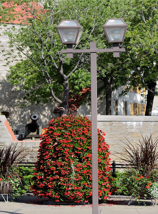 pedestrian light pole